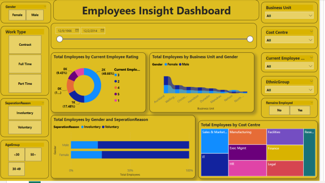 Employees Insight Dashboard | Metricalist